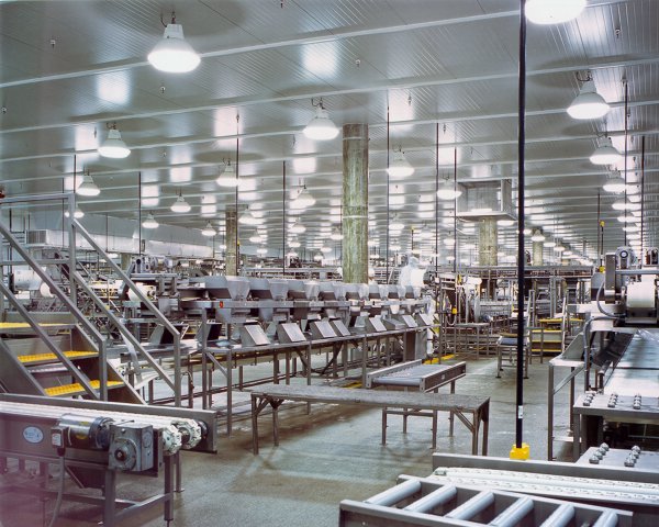 Papa John's Processing Plant | Projects | Choate Construction